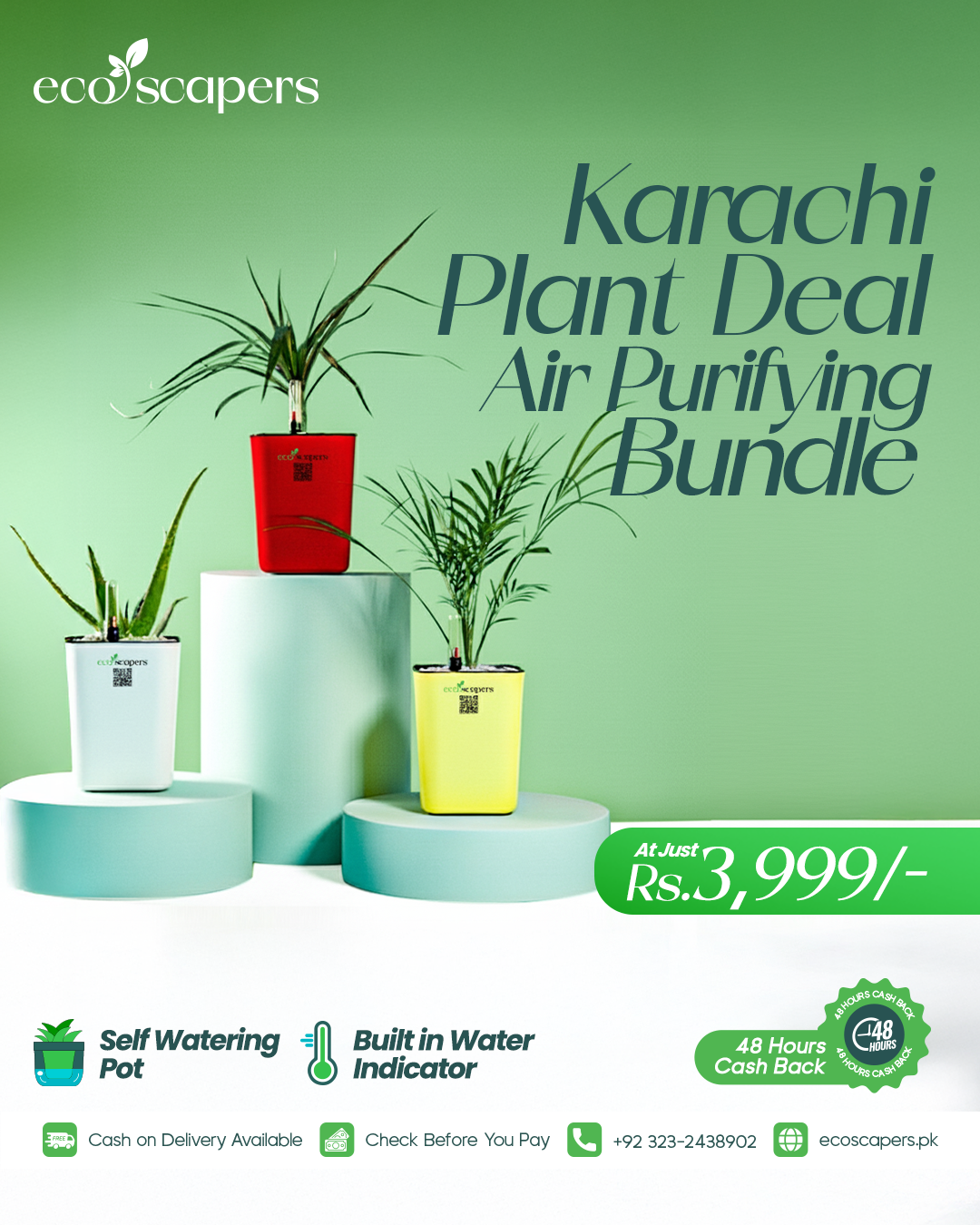 Air Purifying Plant Bundle – Self Watering Pots with Water Indicator ...